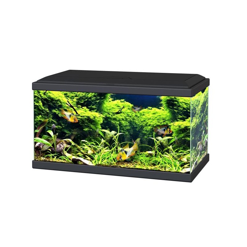 Aquarium AQUA 60 LED CFBIO150 Noir 60X30X32 58L CIANO